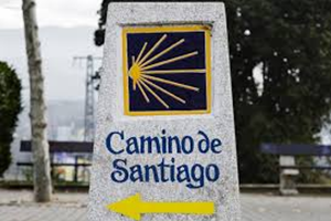 Good Morning Service